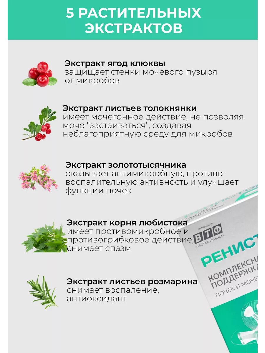 Ренисток растительные капсулы при цистите, для почек и мочевыводящих путей №30 — фото 1