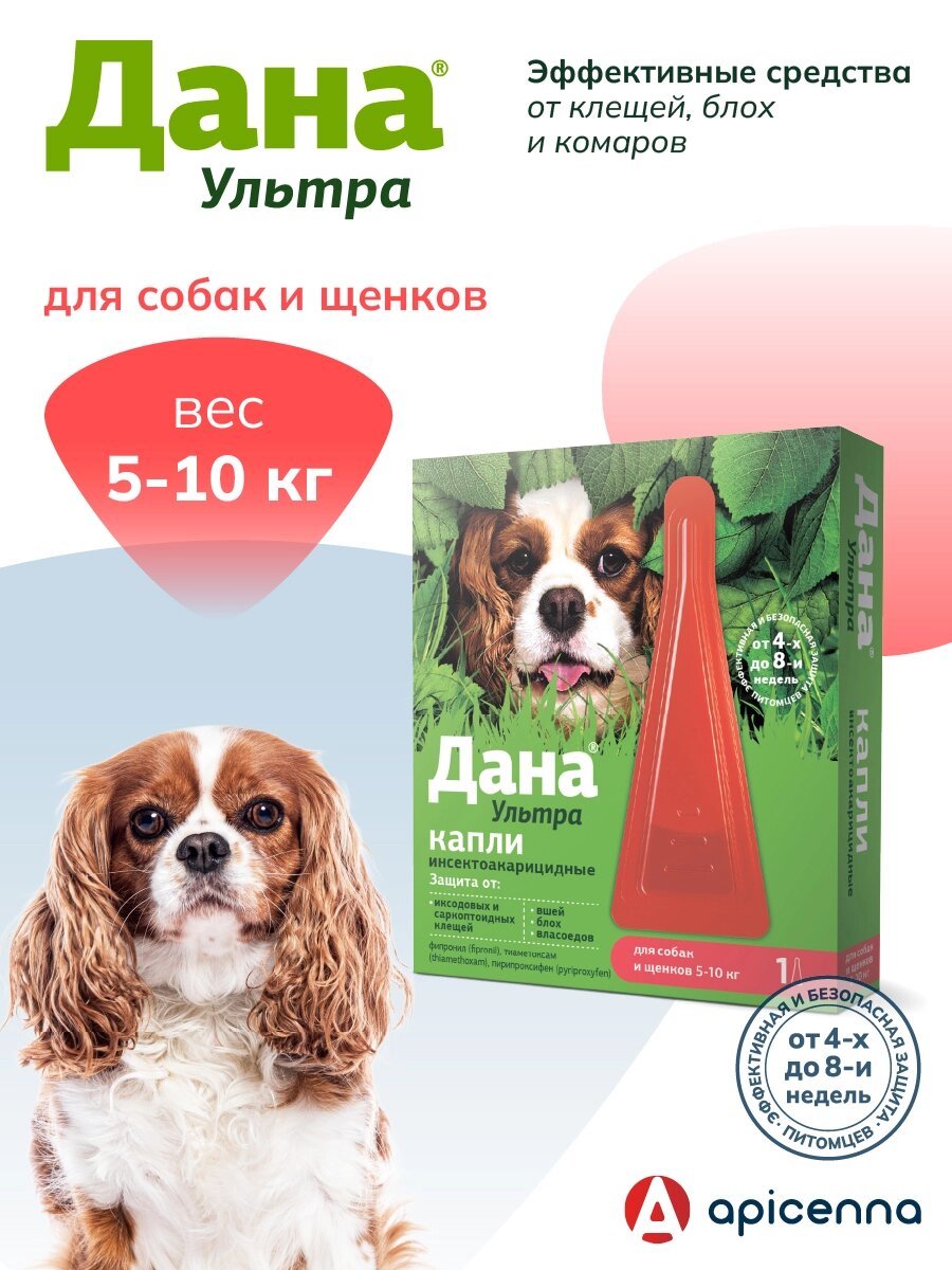 Apicenna Дана Ультра капли для собак и щенков (5-10 кг.) 1 пипетка — фото 1