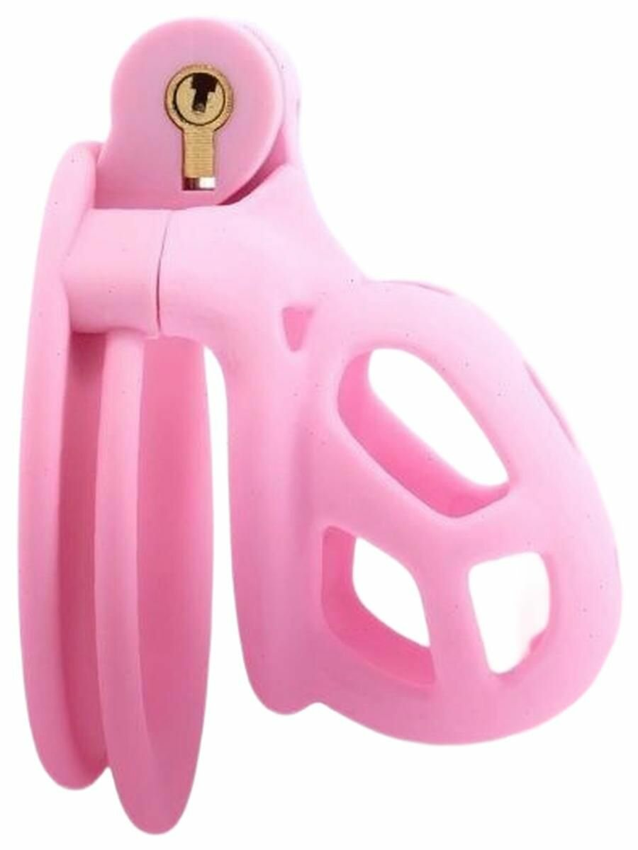 Бдсм Пояс верности, Клетка целомудрия,4 съемных кольца,5.5 см