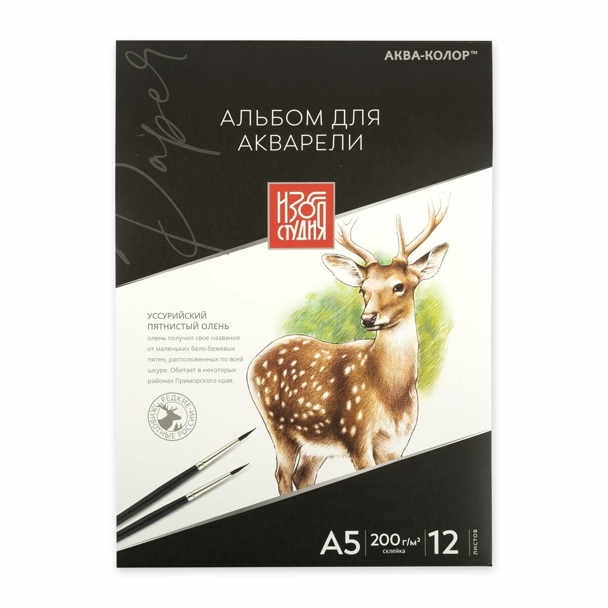 Альбом для рисования аква-колор Изостудия, A5, акварельная бумага, 200г/м2