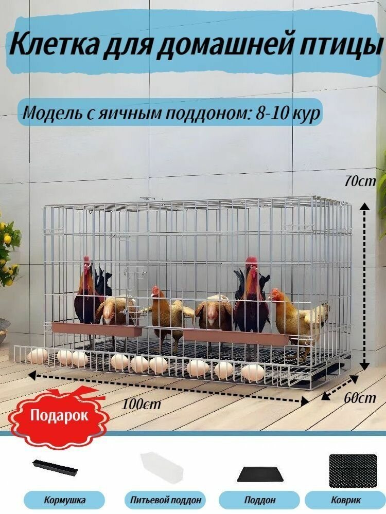 Куриный клеток с подносом для яиц 100*60*70 см на 8-10 кур Для дачи/фермы