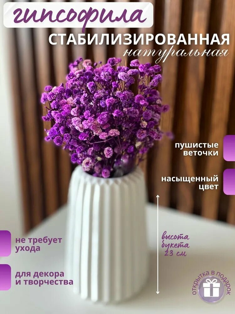 Стабилизированные цветы Гипсофила, 23 см, 25 гр, 1 шт