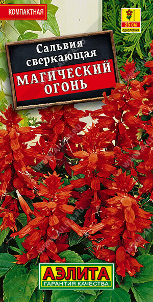 Семена аэлита "Сальвия Магический Огонь", низкорослый летник, яркое цветение