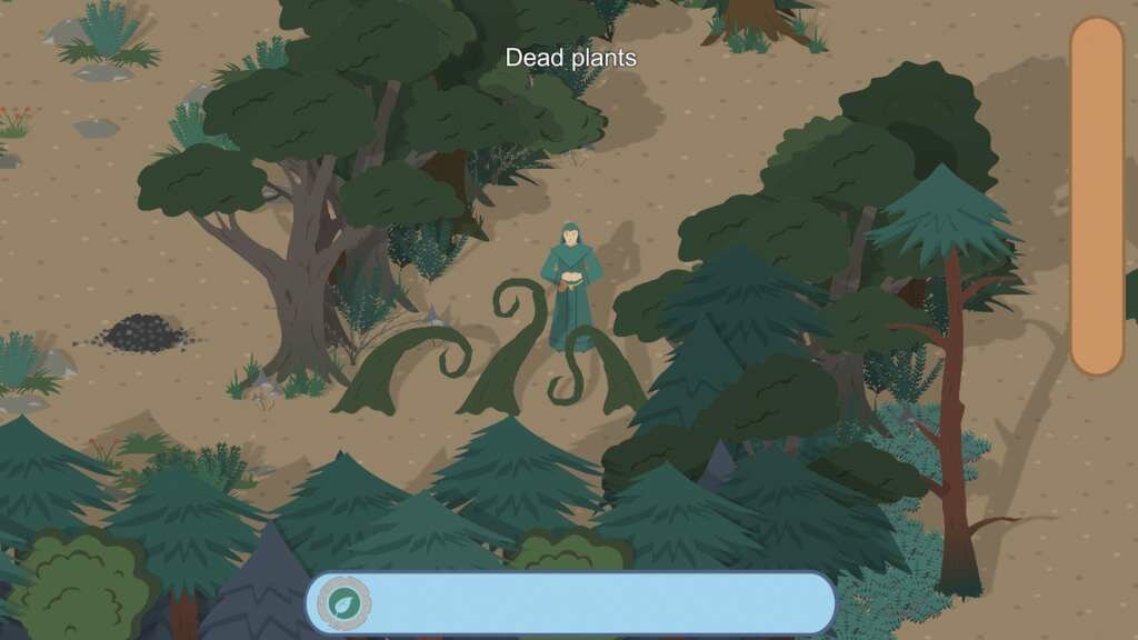 Druid Steam Ключ • Активация Steam • регион Весь мир • цифровой ключ