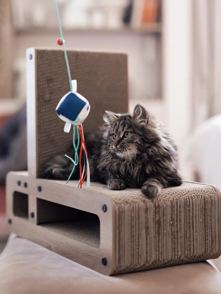 Когтеточка-доска для кошек Wall, коричневый, 43х25х50 см "Не Один Дома"