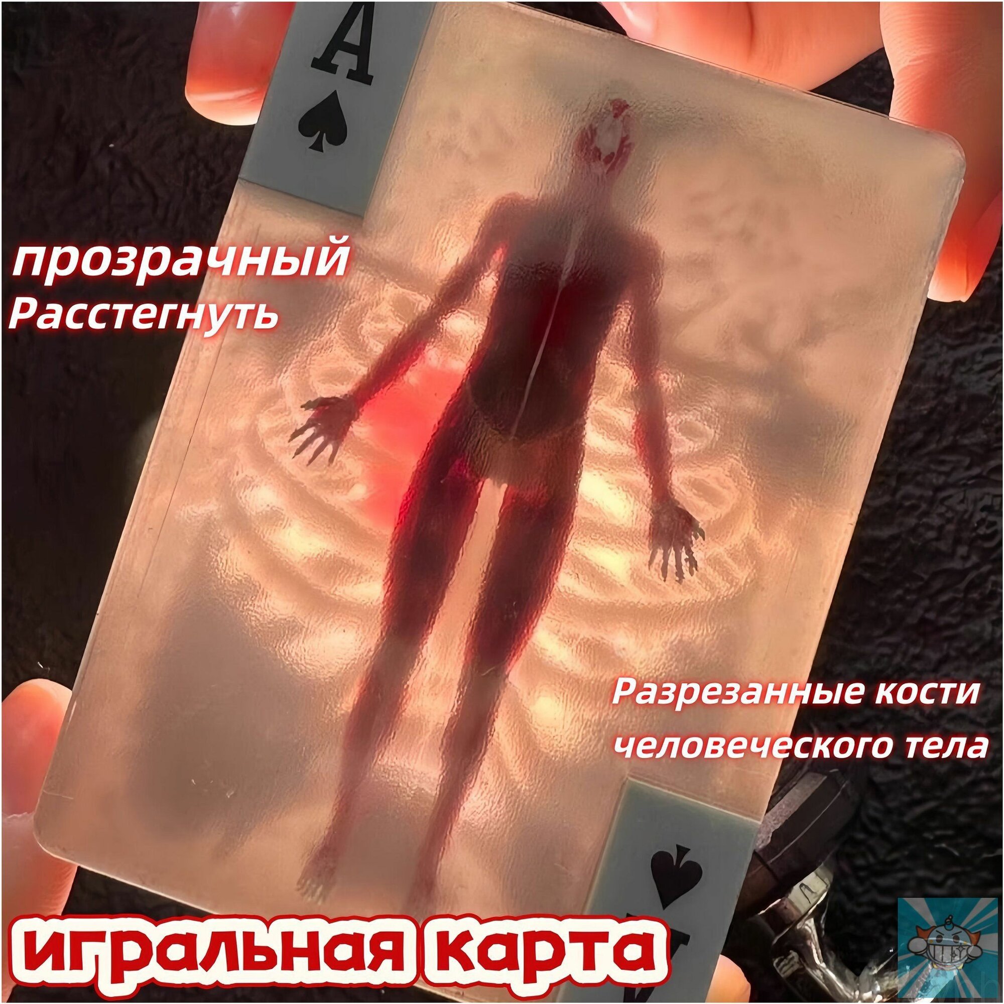 Человеческое тело, разрезанные кости, креативные декомпрессионные игрушки, шотландский фильм, игральные карты
