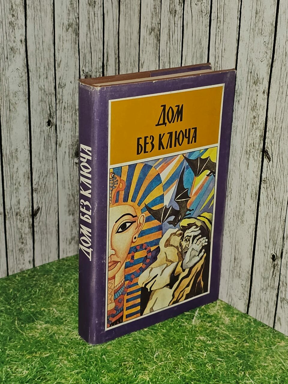 Дом без ключа. Биггерс Джон, Стэкпул Девир
