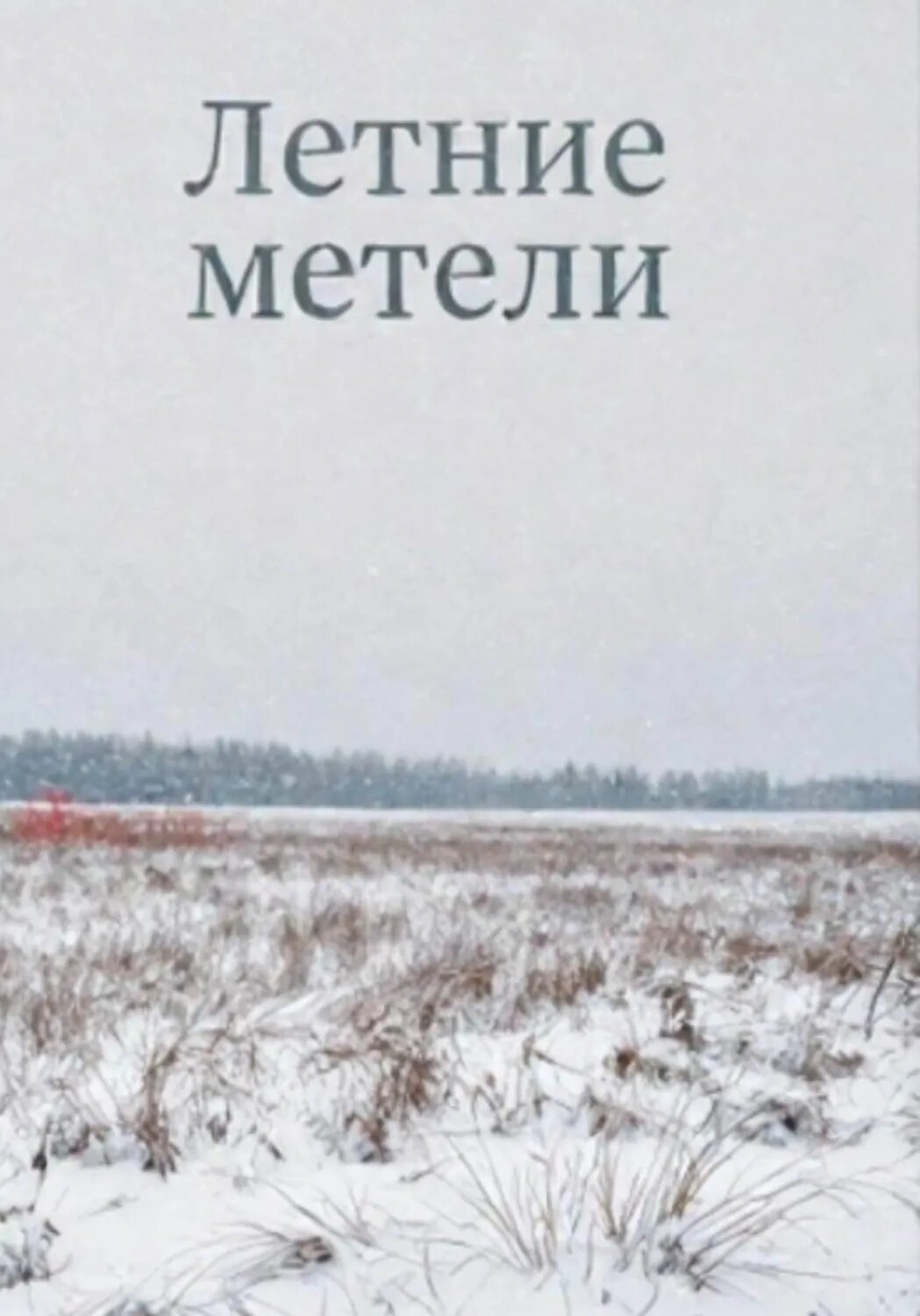 Летние метели [Цифровая книга]