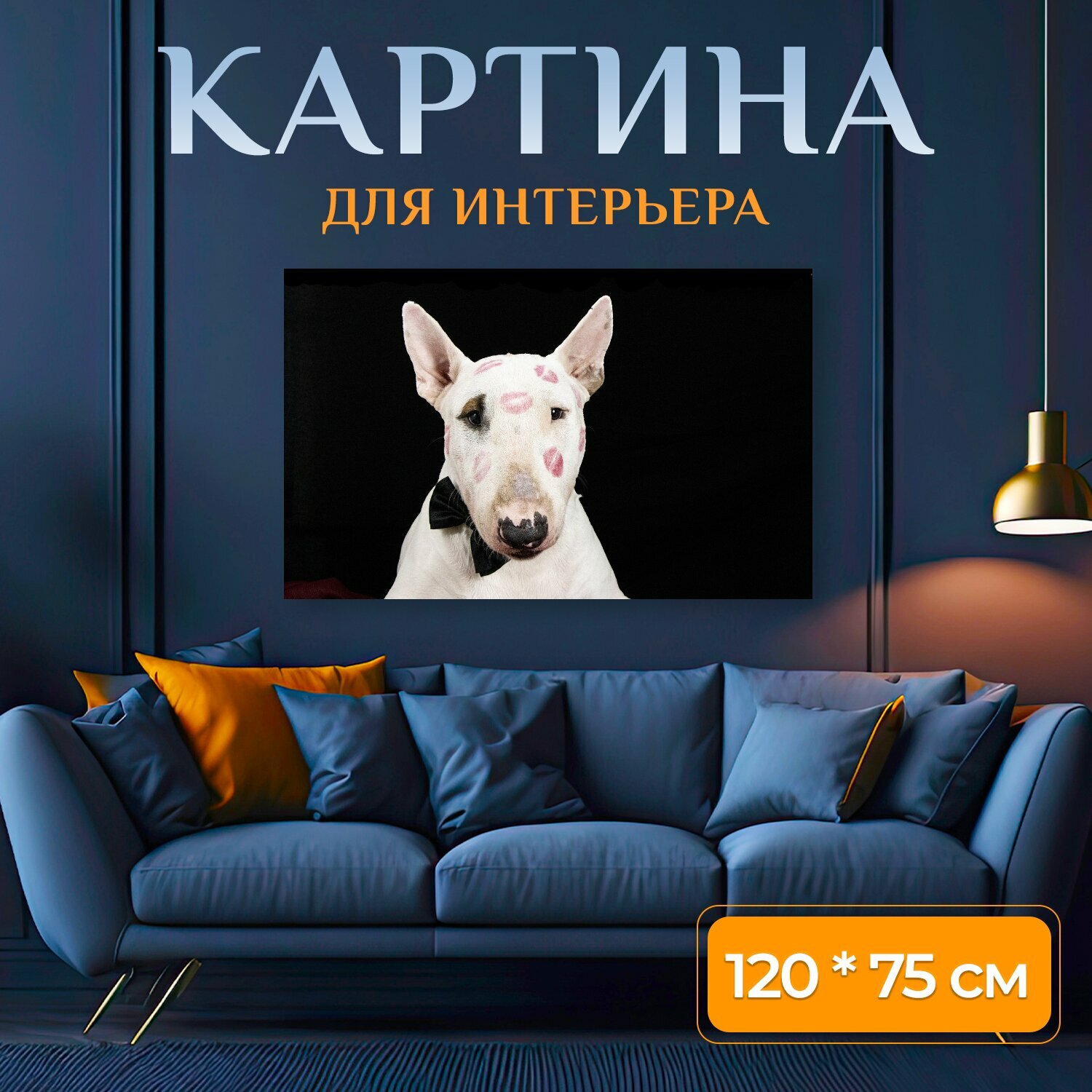 Картина на холсте "Бультерьер, поцелуи, собака" на подрамнике 120х75 см. для интерьера