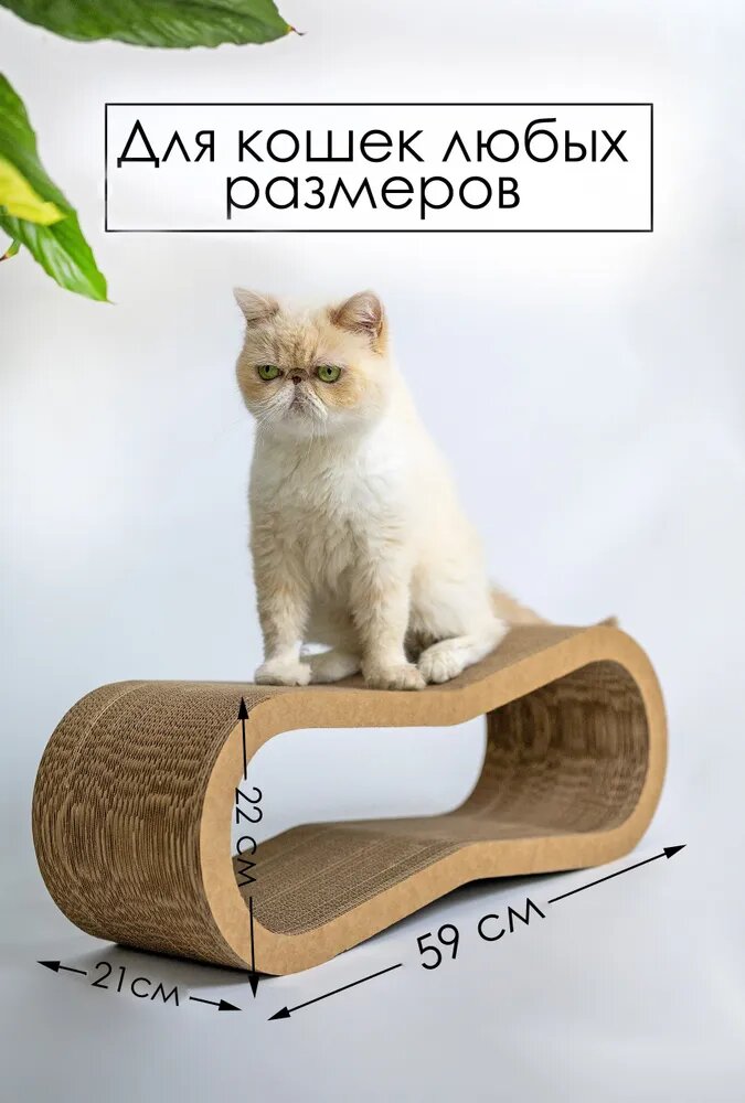 Когтеточка лежанка для кошек картонная Улыбка с игрушкой 49х21х16см Зверье Мое