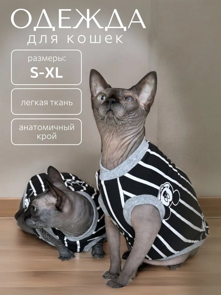 Одежда для кошек Emmy Stil кота, котенка, сфинкса