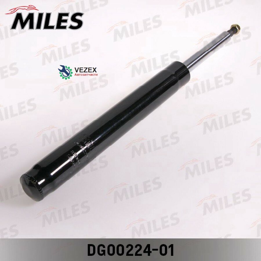 MILES DG00224-01 Амортизатор подвески