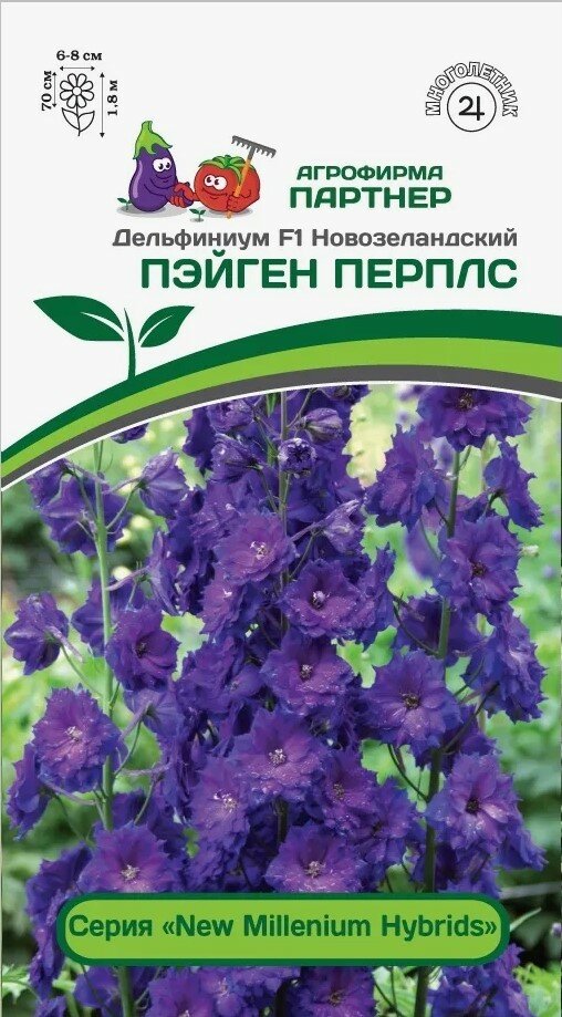 Семена дельфиниума партнер Пэйген Перплс, махровый, многолетний, 3 шт