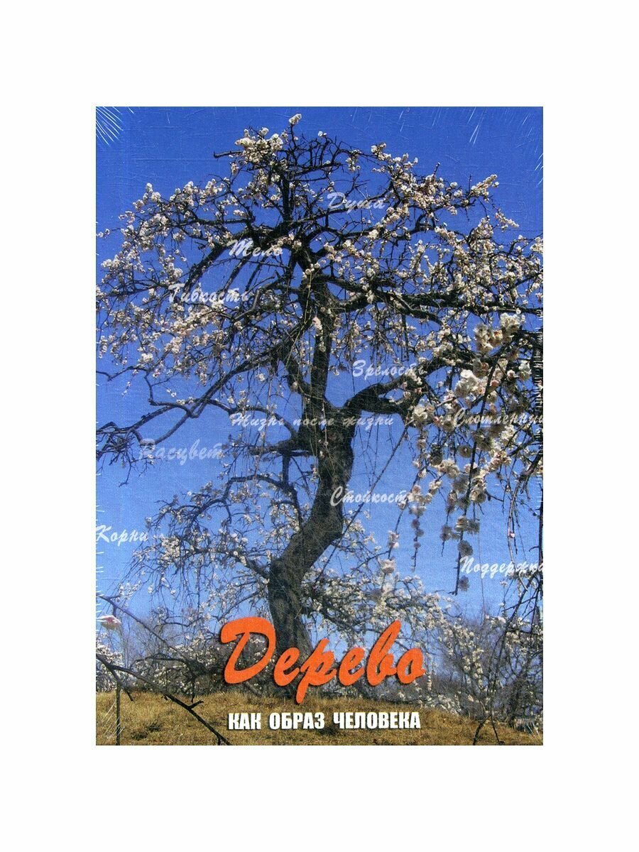 Дерево как образ человека. Метафорические карты. Набор из 112 карточек и инструкции. Мухаматуллина Е. А. Генезис