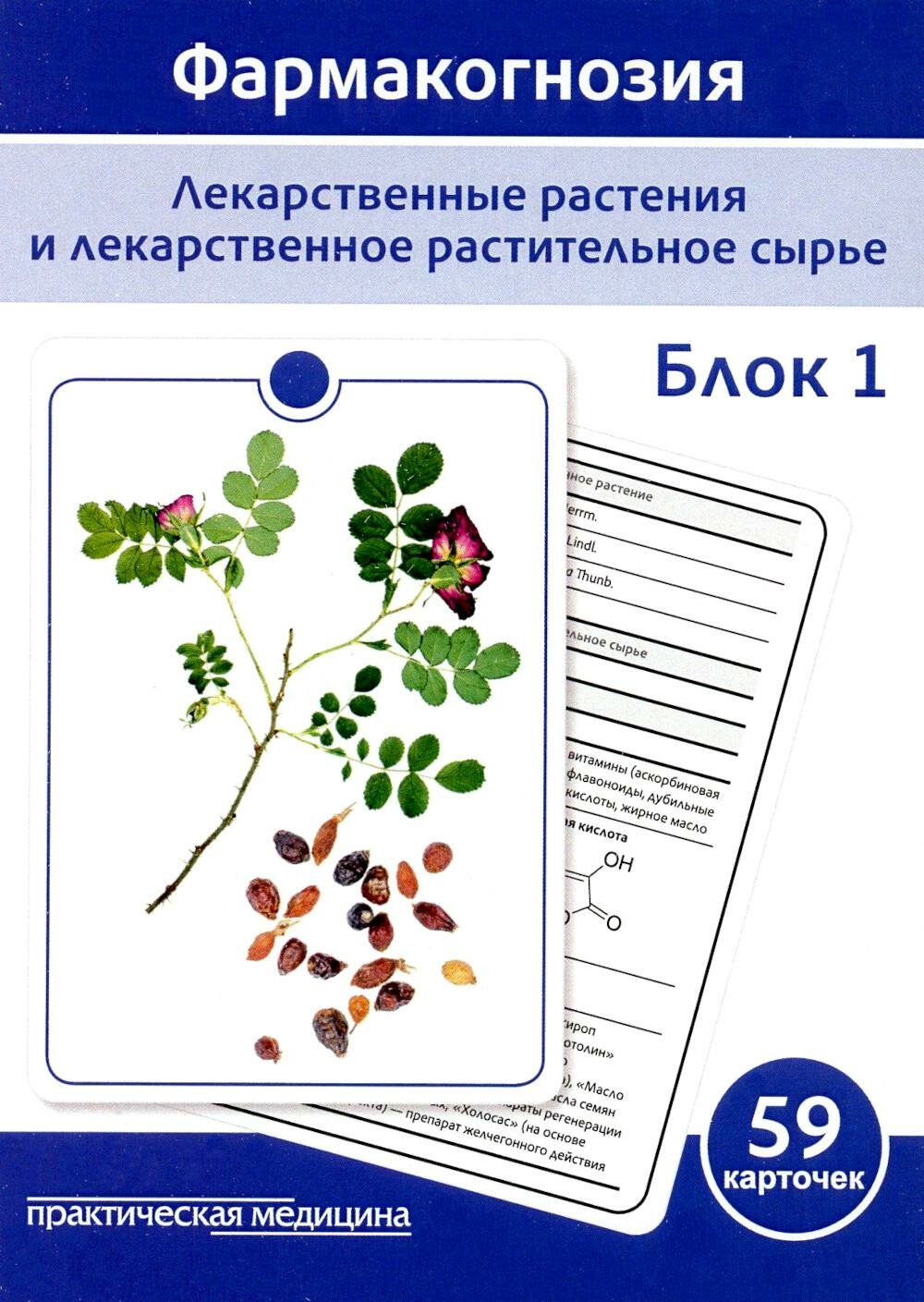 Фармакогнозия. Блок 1 (59 карточек). Лекарственные растения и лекарственное растительное сырье. Учеб