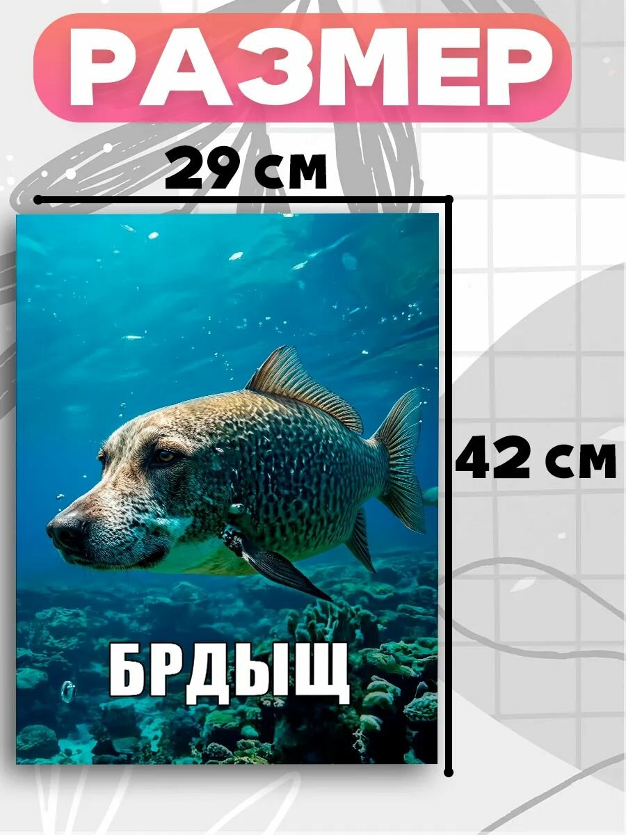 Постеры на стену Брдыщ мем, плакат 1шт, А3 размер. — фото 1