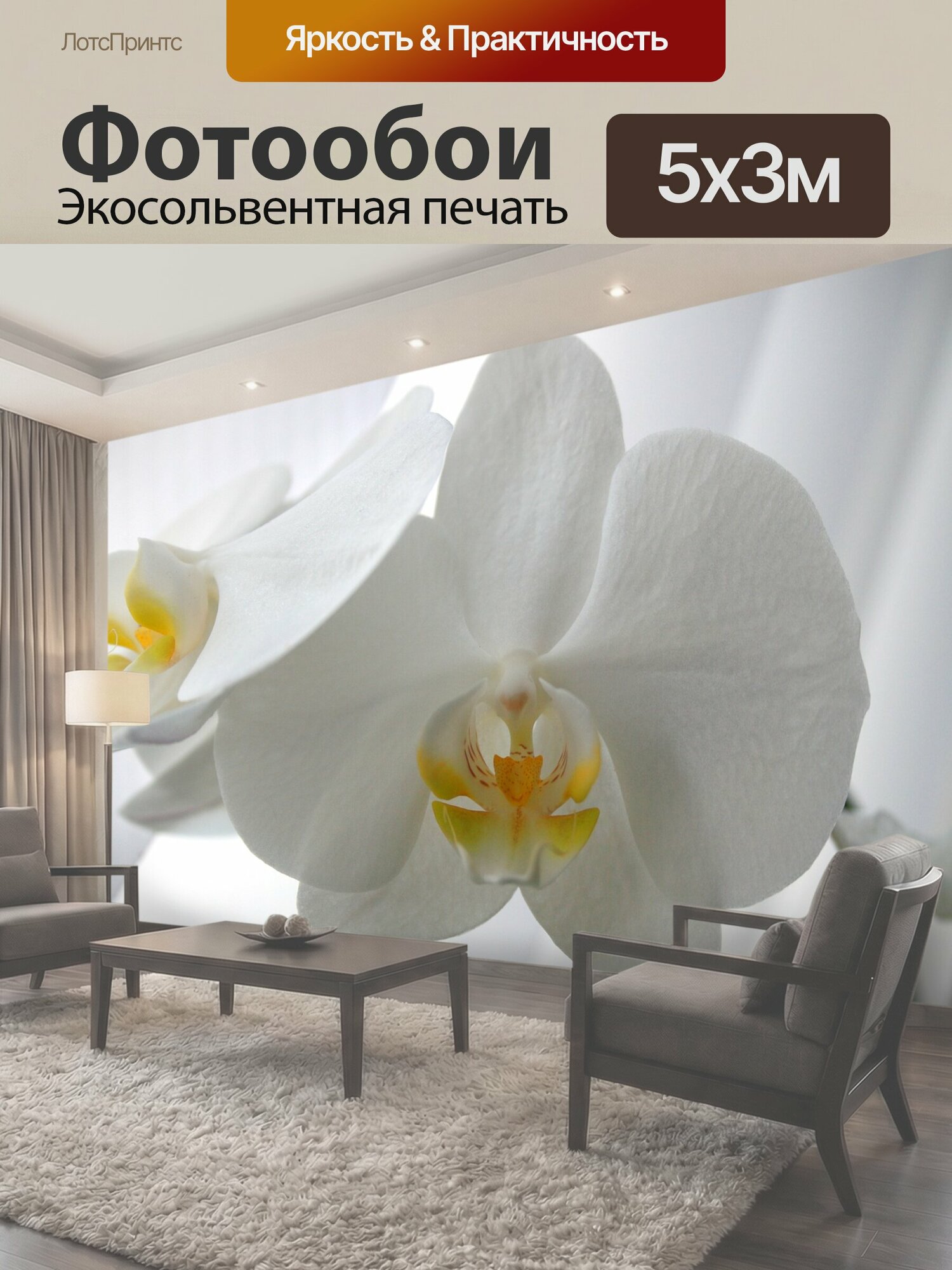 Фотообои "Бабочки орхидеи, ночной мотылек орхидея, фаленопсис" 500x300 см. экосольвентная печать