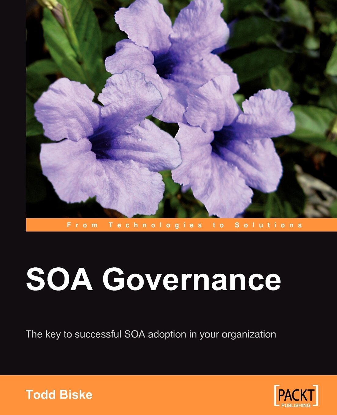 Soa Governance — фото 1