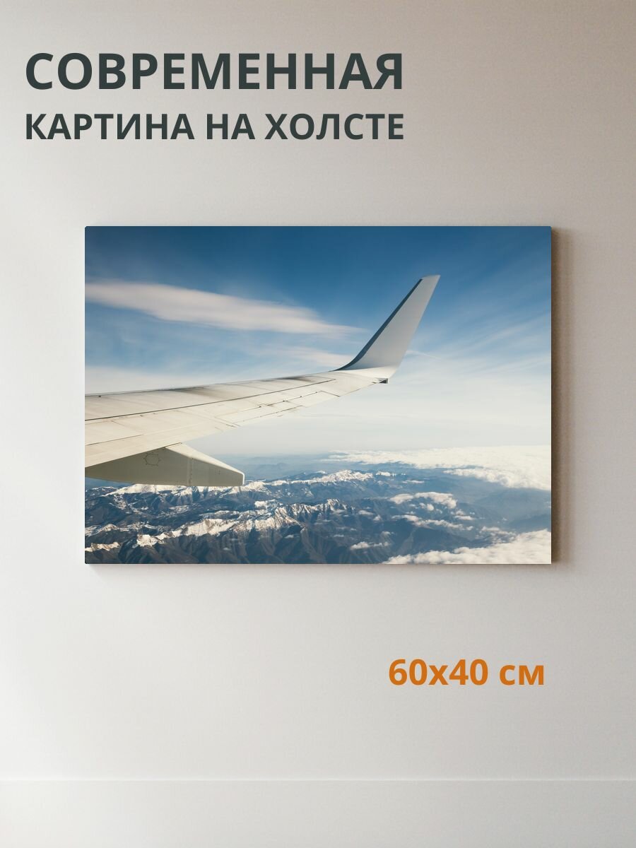 Картина на холсте Крыло над горами 60x40 см