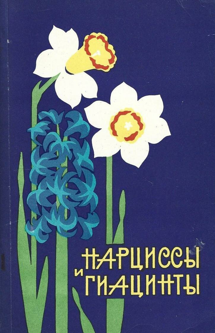 Нарциссы и гиацинты. Лучшие сорта