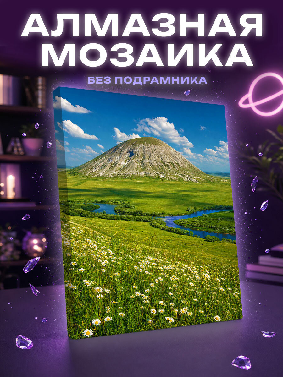 Алмазная мозаика Шихан Торатау среди ромашек