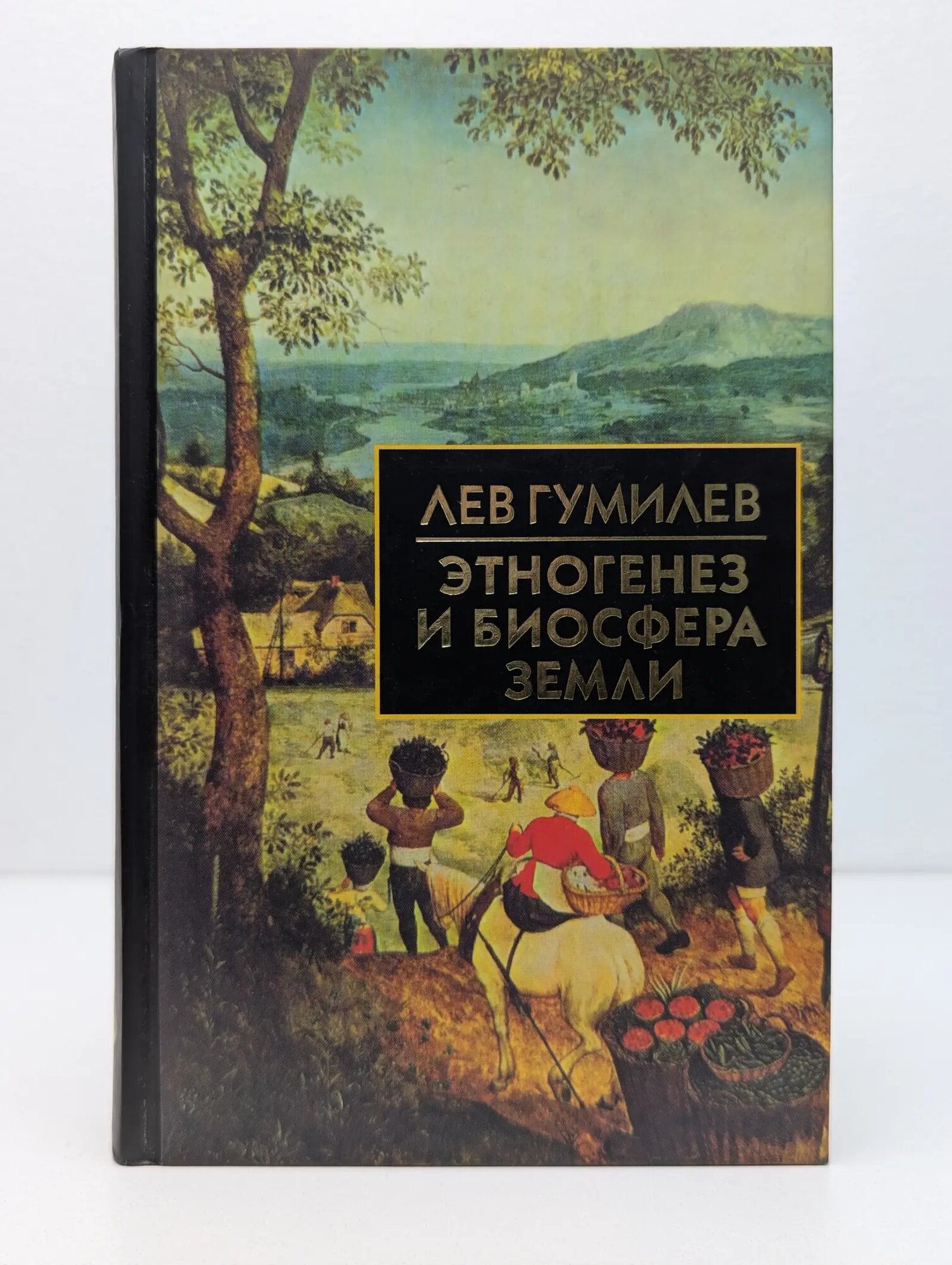 Этногенез и биосфера Земли Гумилев Лев Николаевич 2005