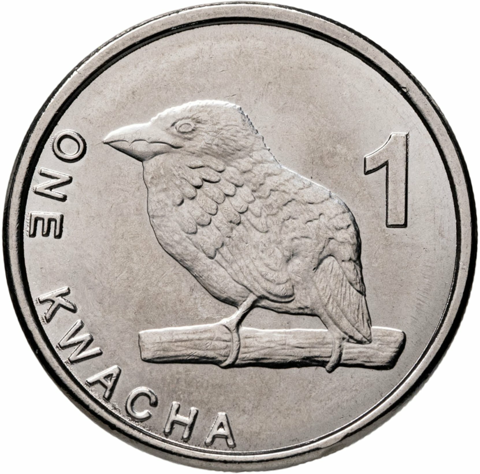 Замбия 1 квача kwacha 2024-2025, Сталь, в сохранности UNC