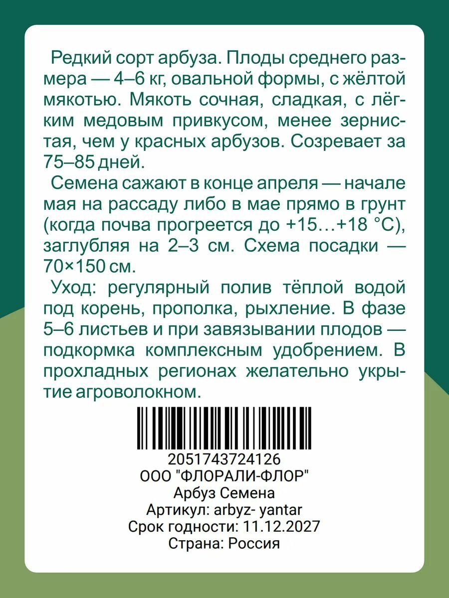 Арбуз Семена — фото 1