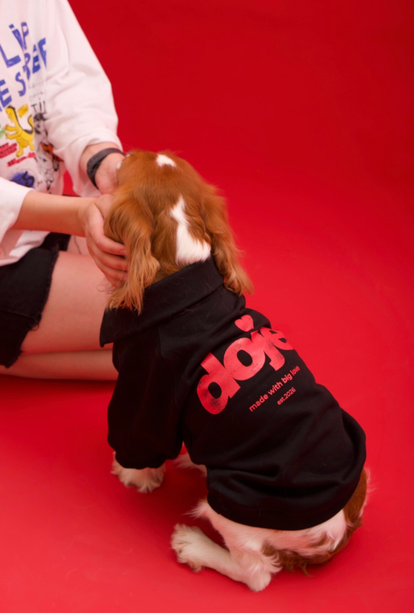 Свитшот для собак и кошек doje.pets "BIG LOVE", толстовка из футера, хлопок 100%, с принтом, черный, красный, размер 2XL