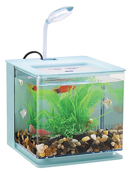 Аквариум для рыбок KIDS' FUN Billy, 4,5л, голубой, 18.5х17х16 см, Laguna