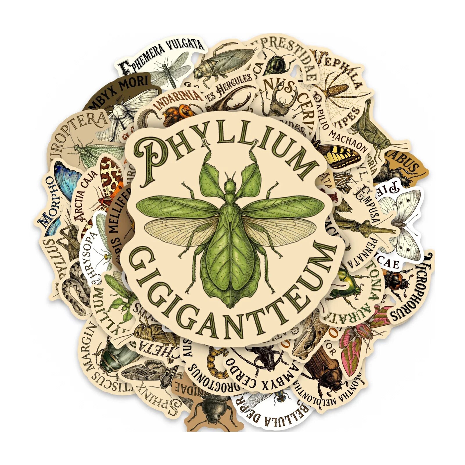 Набор наклеек Hand Drawn Vintage Insect Stickers