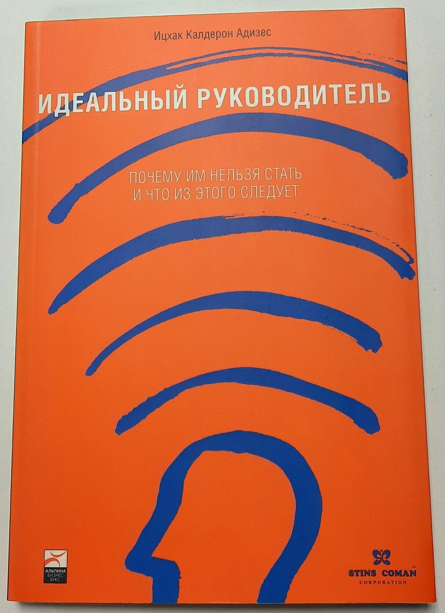 Идеальный руководитель. Почему им нельзя стать и что из этого следует