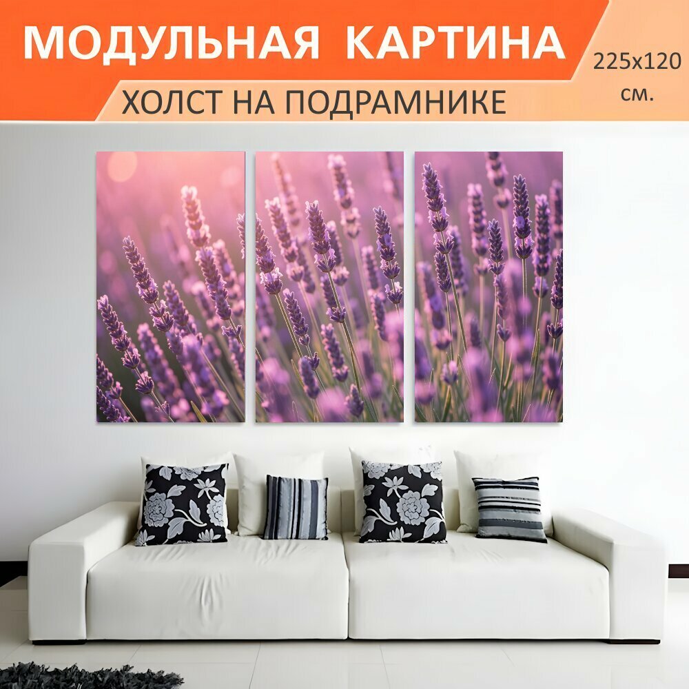 Модульная картина на холсте "Цветущая лаванда на закате. Нежные фиолетовые соцветия в лучах заходящего солнца, мягкий размытый фон." триптих на подрамнике 225х120 см. для интерьера