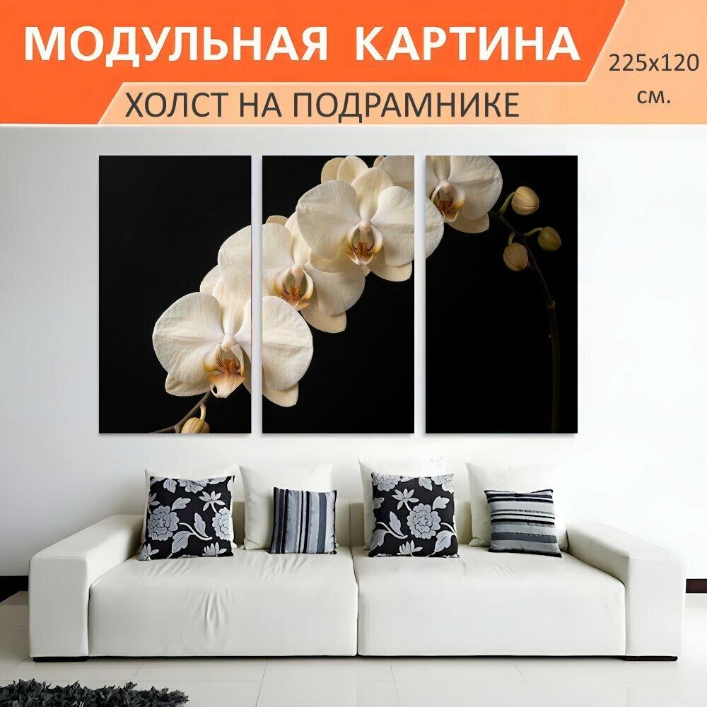 Модульная картина на холсте "Белая орхидея на черном фоне. Изящные кремово-белые соцветия с бутонами на темном фоне, минималистичная." триптих на подрамнике 225х120 см. для интерьера