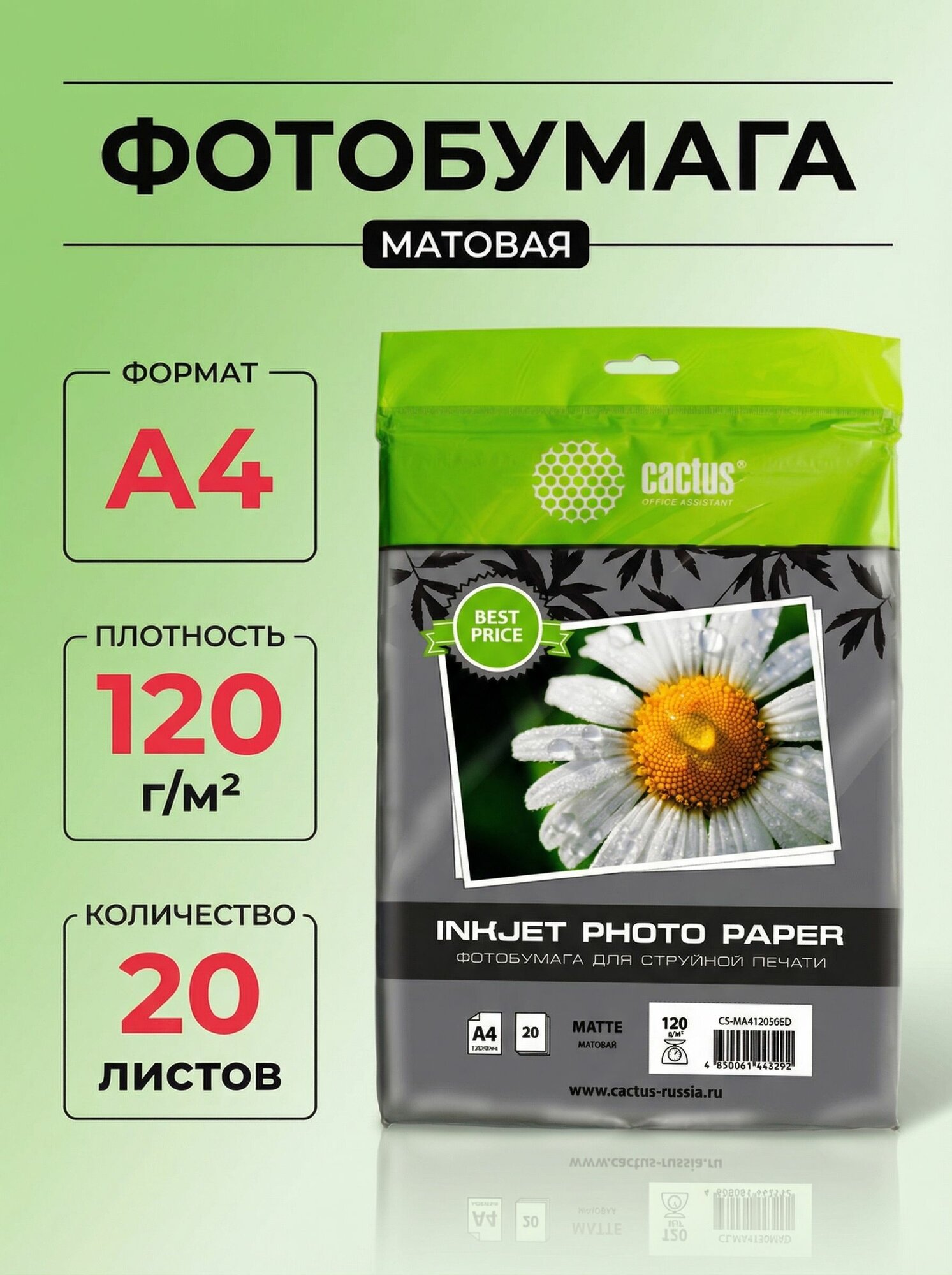 Фотобумага Cactus MA412020ED A4 120г/м2 20л. белая матовая для струйной печати