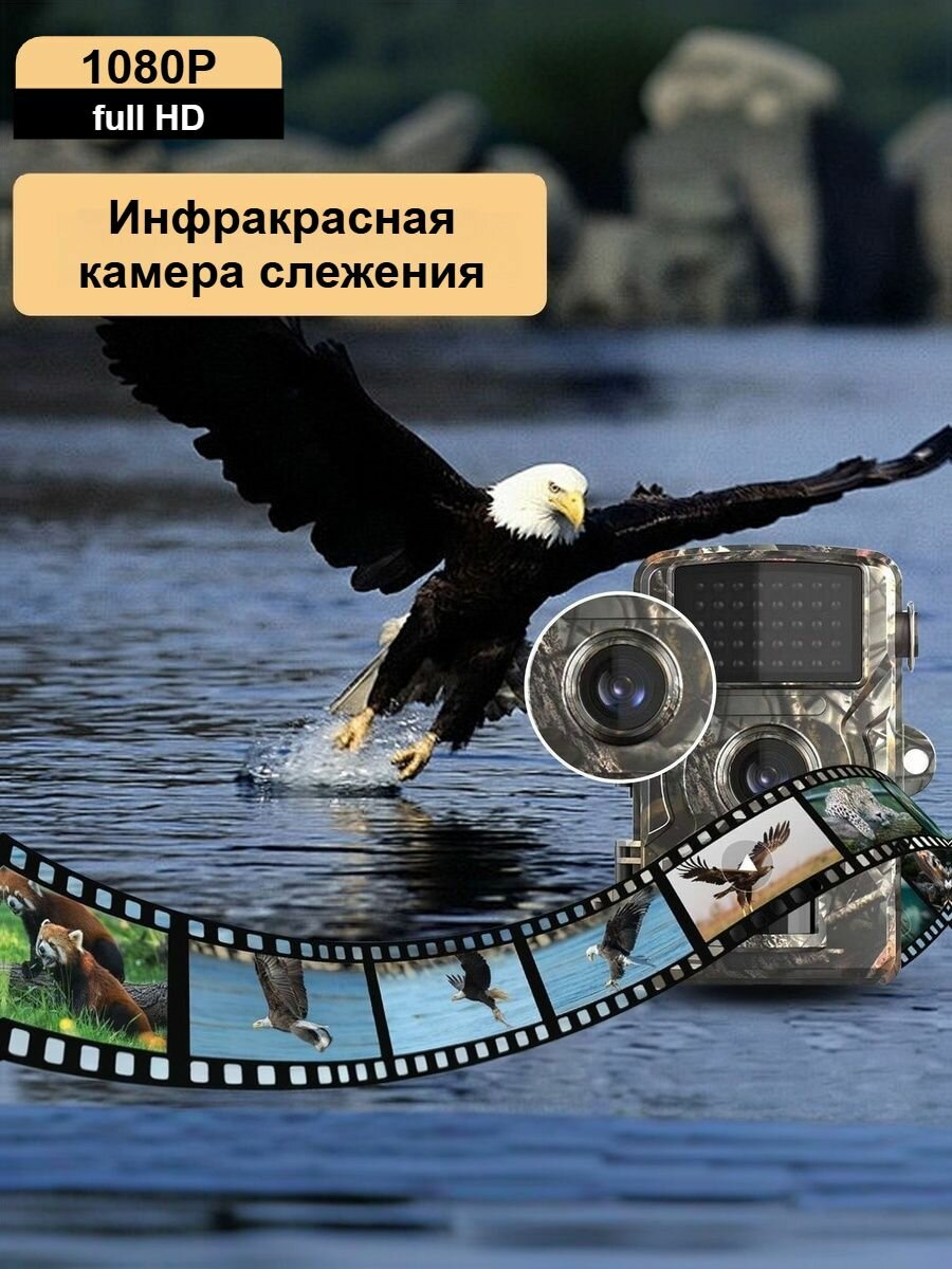 Фотоловушка — фото 1
