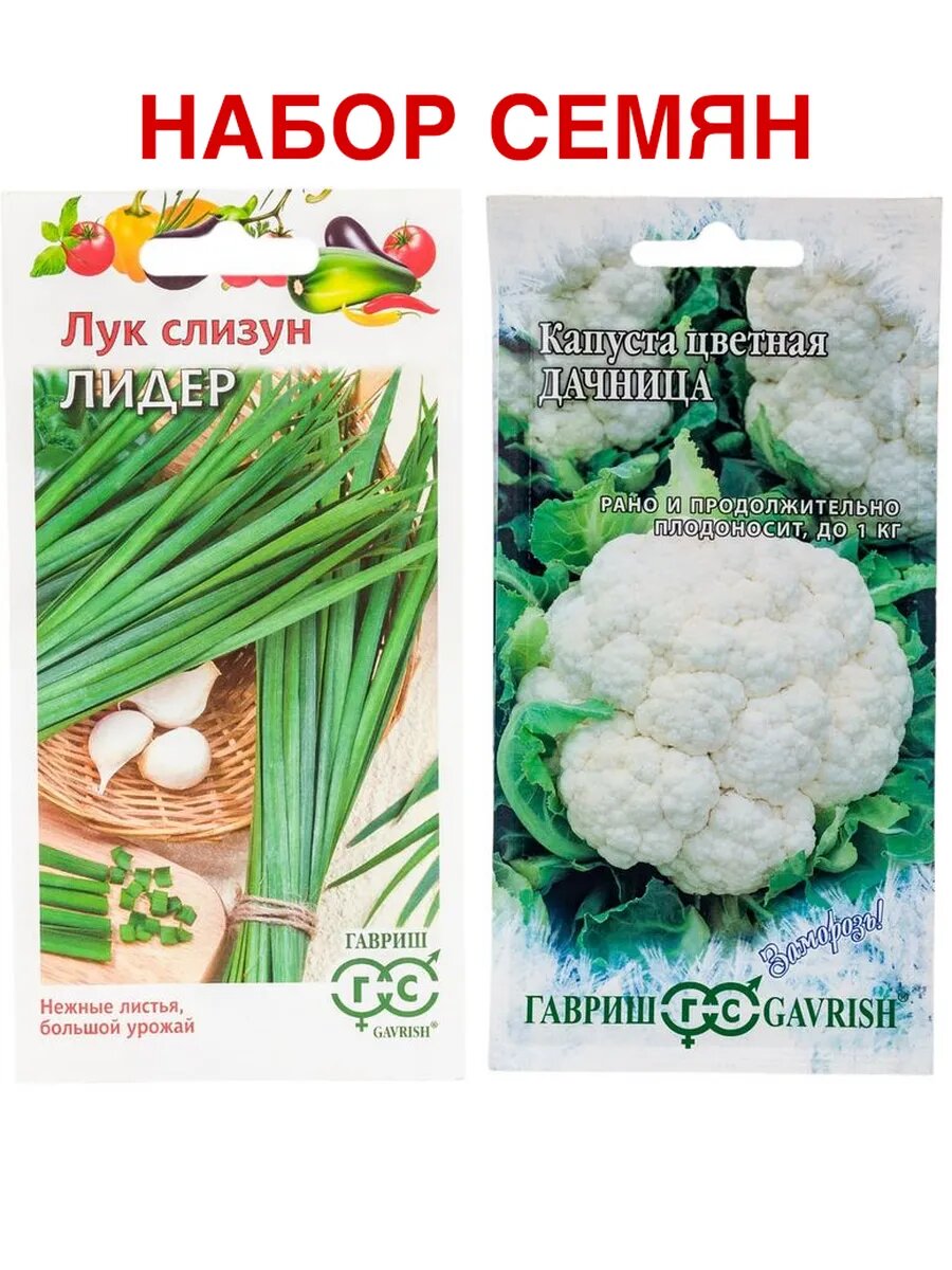 Набор семян Гавриш две упаковки: Лук Лидер 0.5г и капуста Дачница 0.2г