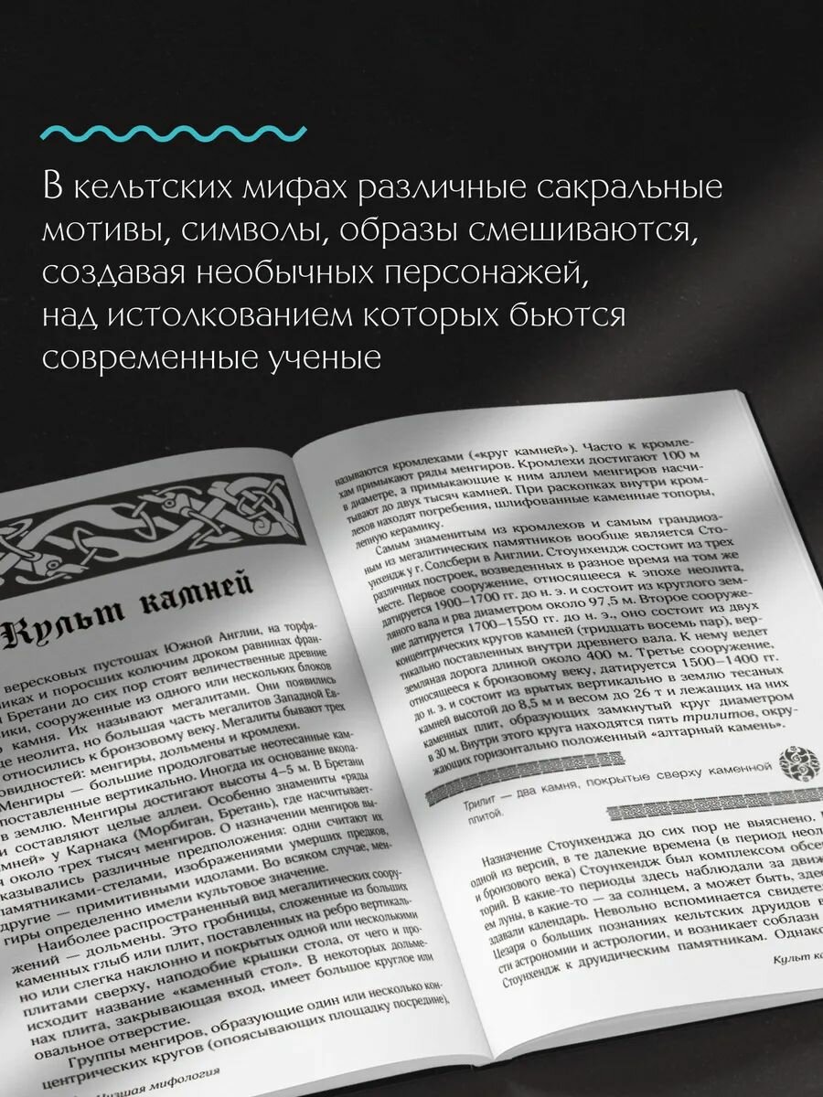 Мифы кельтских народов. Боги, герои, силы природы, символы — фото 1