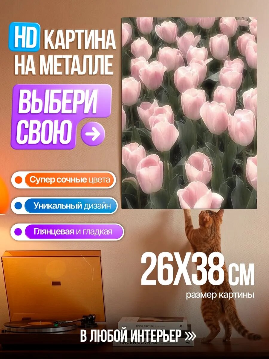 Картина на HD металле Нежные розовые тюльпаны