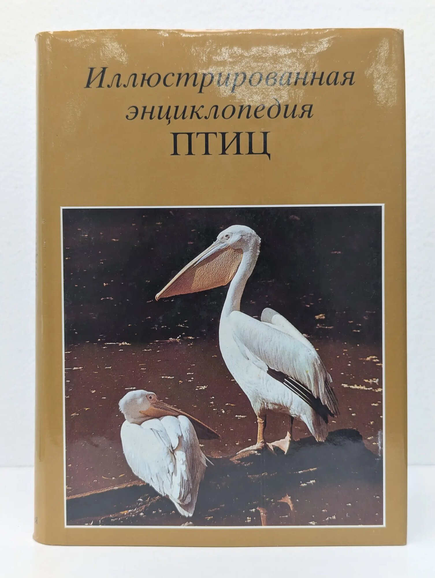 Иллюстрированная энциклопедия птиц Ганзак Ян 1990