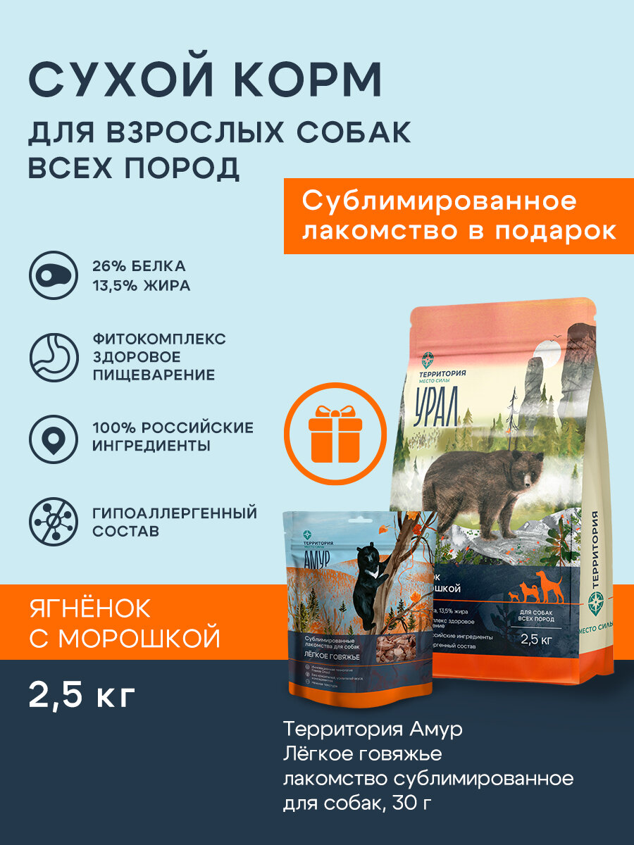 Акционный набор "Территория" сухой корм ягненок 2,5 кг + лакомство "Амур" легкое говяжье