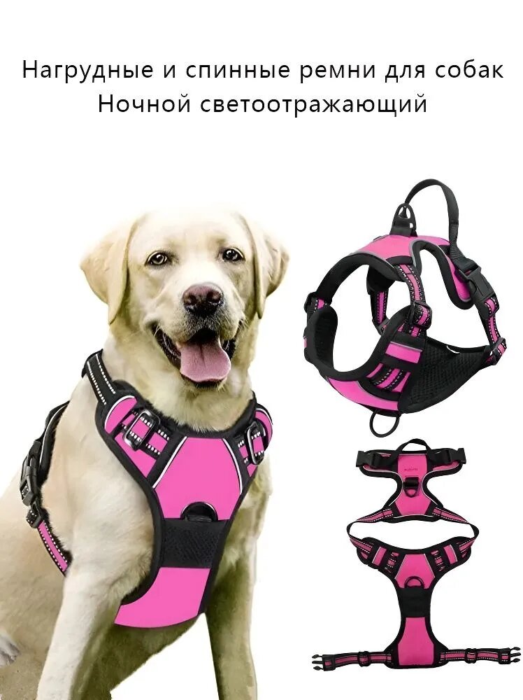 Шлейка