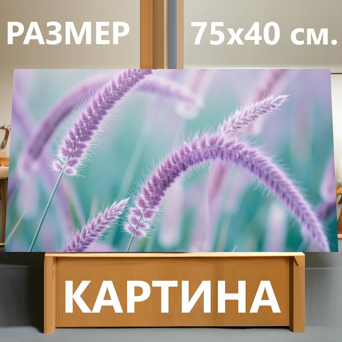 Картина на холсте "Лиловые пушистые колосья травы. Нежные лилово-розовые метёлки декоративной травы крупным планом на размытом бирюзовом фоне." на подрамнике 75х40 см. для интерьера