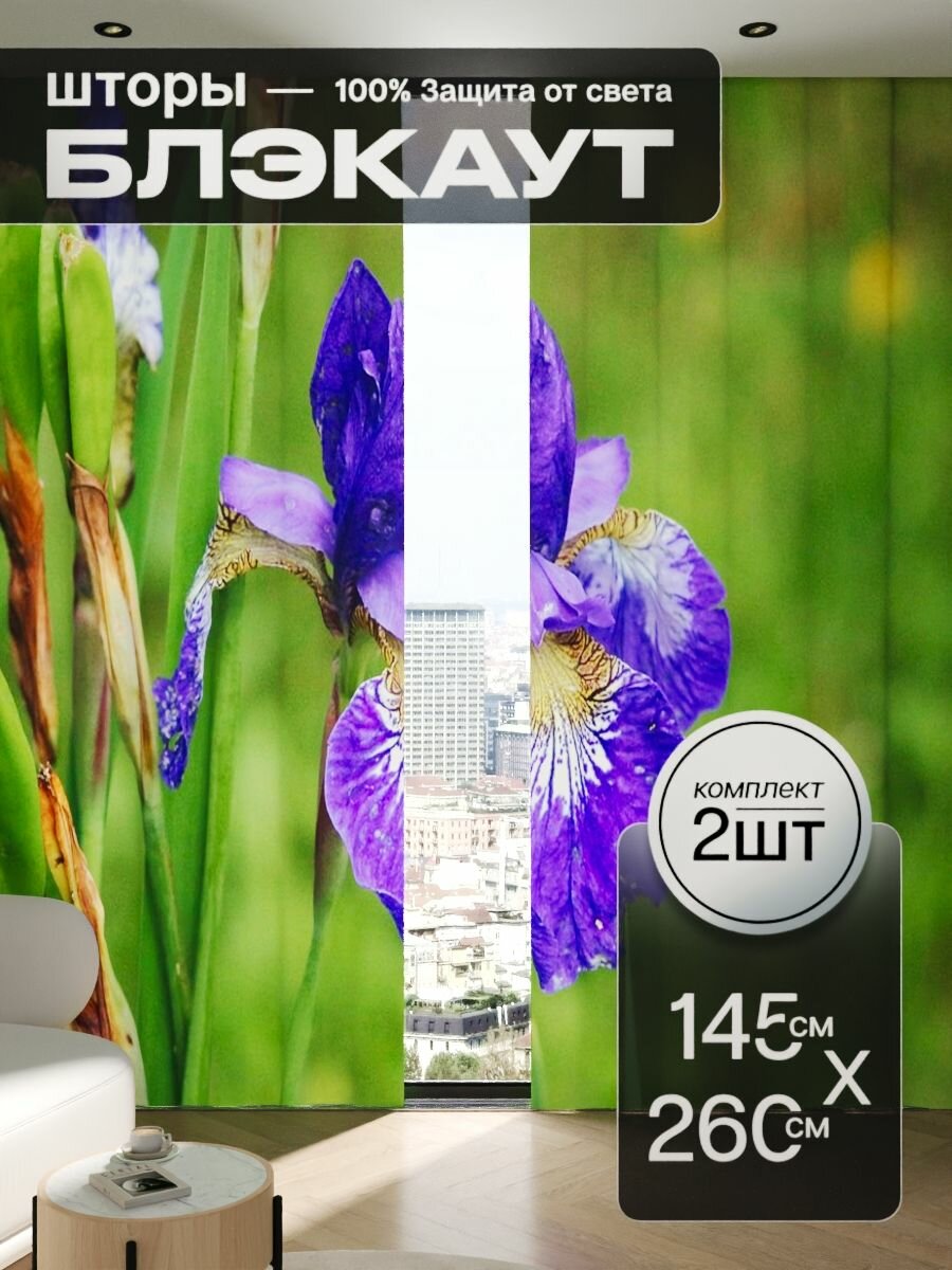 Шторы блэкаут 145x260 см 2 шт на окна плотные комплект