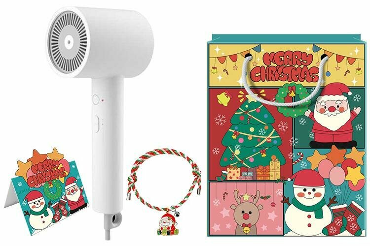 Фен унисекс Xiaomi H300 Festival Exclusive Set
