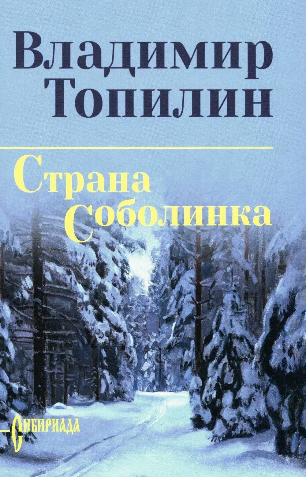 Роман Вече Страна Соболинка, 12+, В. С. Топилин, 2026, 978-5-4484-5858-3