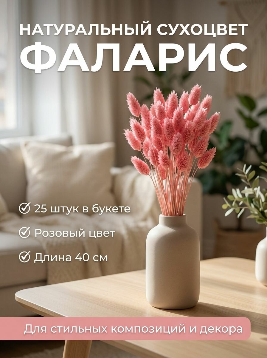 Сухоцвет Фаларис, 25шт. розовый, натуральный сухоцвет, для создания цветочных композиций и декора
