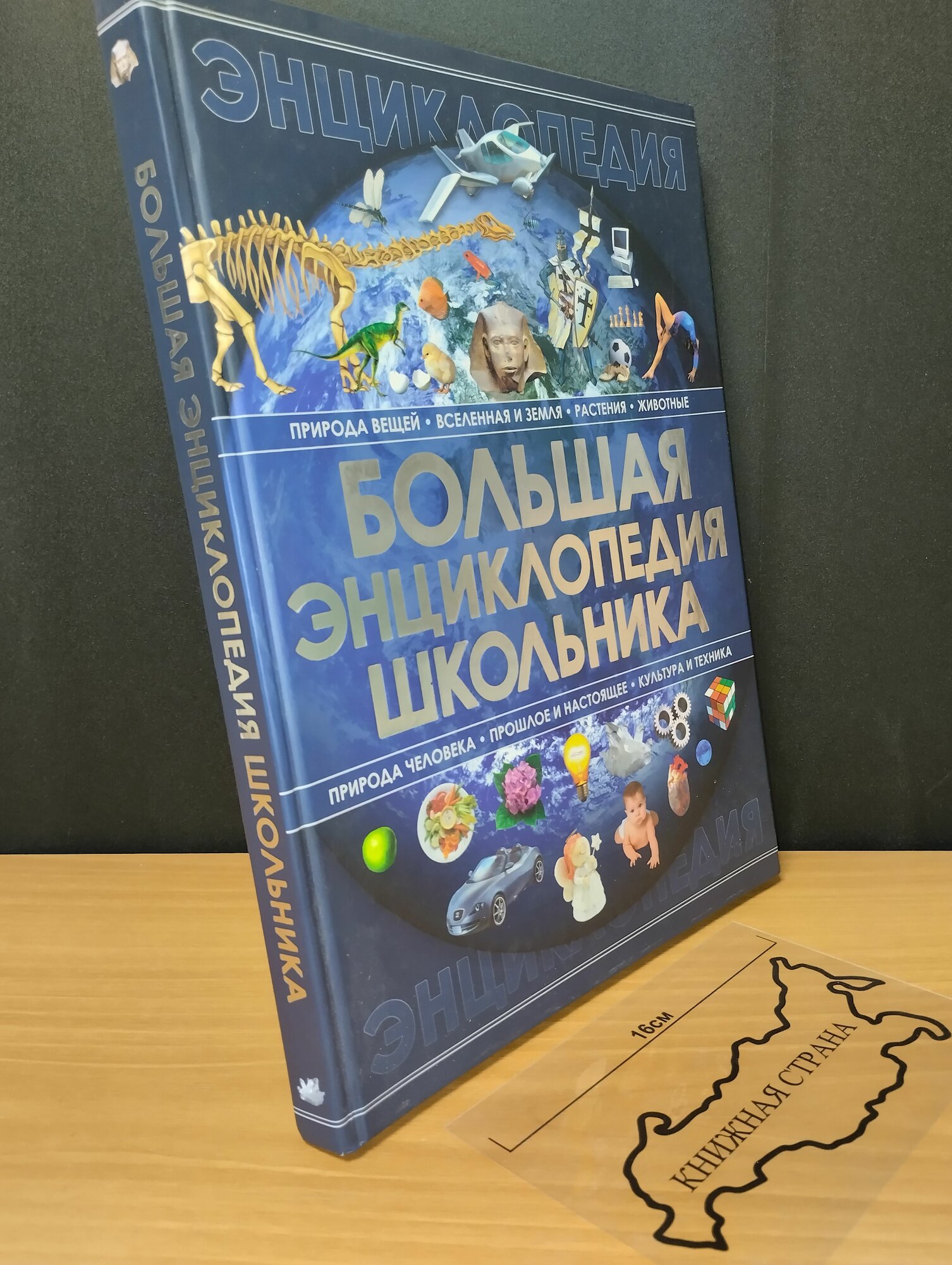 Большая энциклопедия школьника