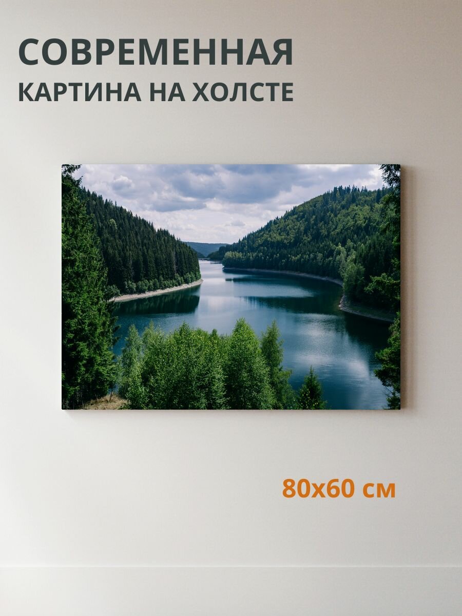Картина на холсте Лесное озеро 80x60 см
