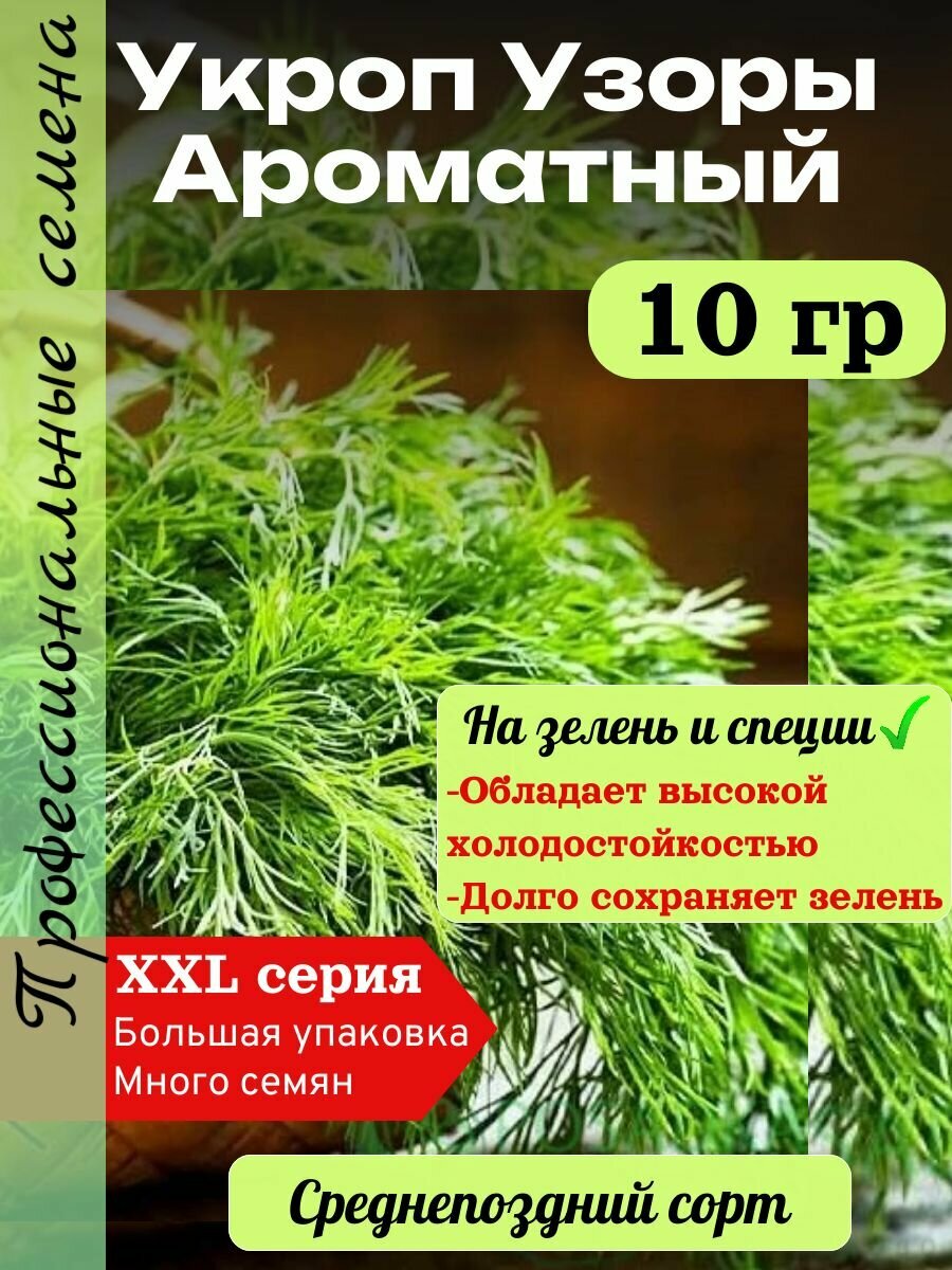Семена Укроп Узоры Ароматный на зелень и специи 10гр